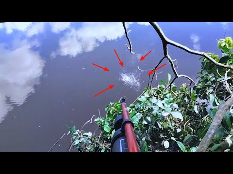 Paser Ikan ||Nembak Ikan Pake Senapan Angin di Danau Kalimantan ||Paser Mania