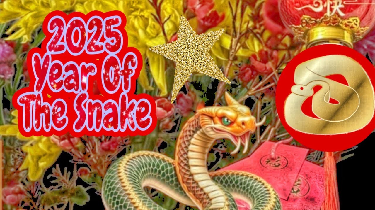 Libra ♎️ Year of The Snake 🐍- All 12 Chinese Astrology Sign Predictions ...