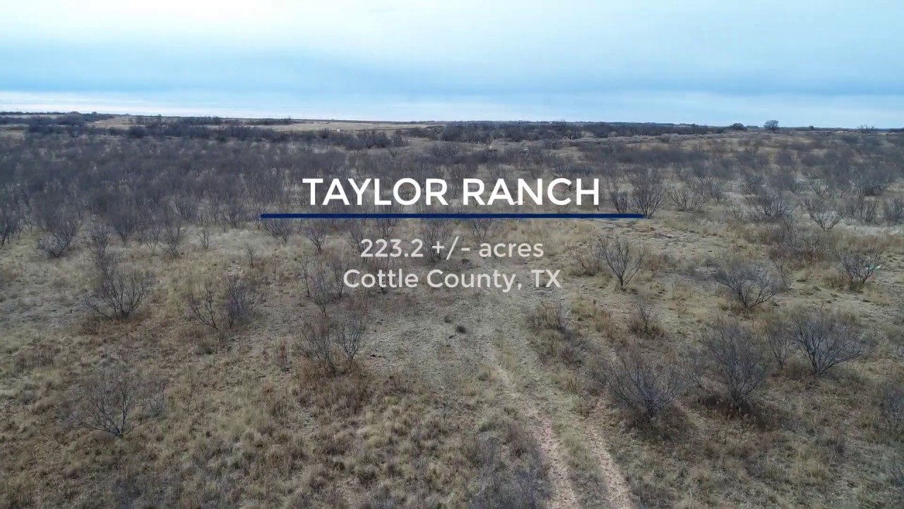 TAYLOR RANCH | 223.2 acres, Cottle County, TX - YouTube