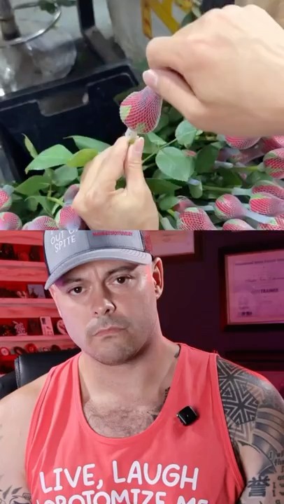 That’s the Mike Tyson of flowers - YouTube