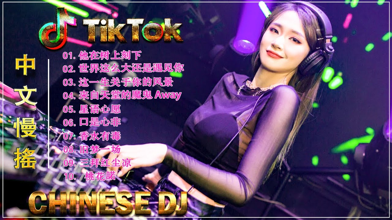 Chinese Dj Remix 2023 夜店舞曲 重低音【Lyrics/動態歌詞】【KTV字幕】【他在树上刻下 ♪世界这么大还是遇见你 ♪ ...