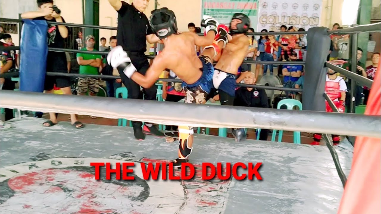 KICK BOXING FIGHT(THE WILD DUCK) - YouTube