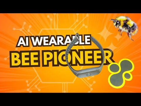Bee Pioneer AI Wearable - YouTube
