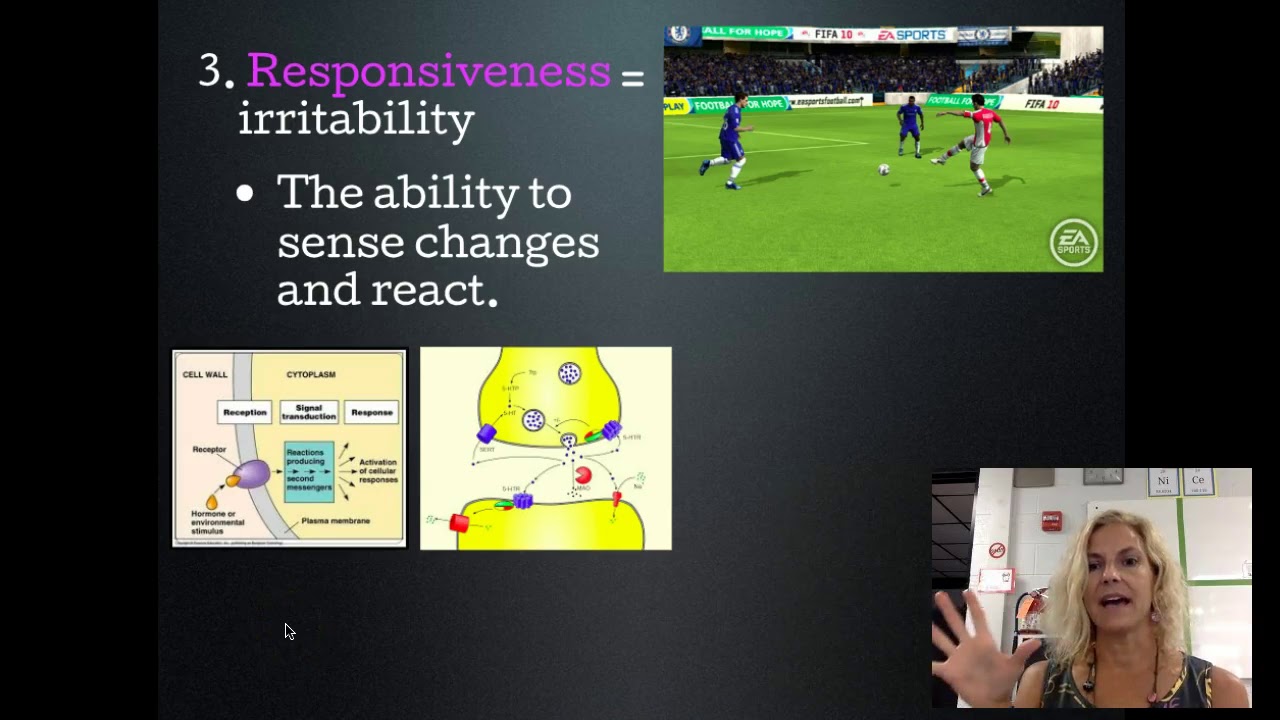 Necessary Life Functions - YouTube