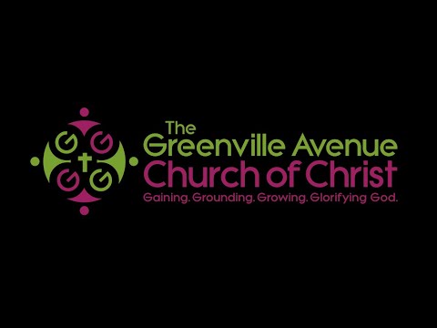 Summer Series (Summer Series week 4) - YouTube