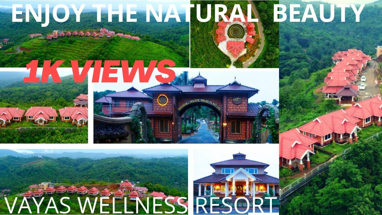 VAYAS WELLNESS RESORT/kerala resort/holistic ayurveda centre/vayas ...