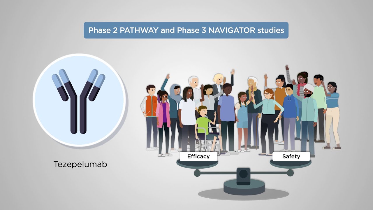 Tezepelumab for severe asthma: the PATHWAY and NAVIGATOR studies - YouTube