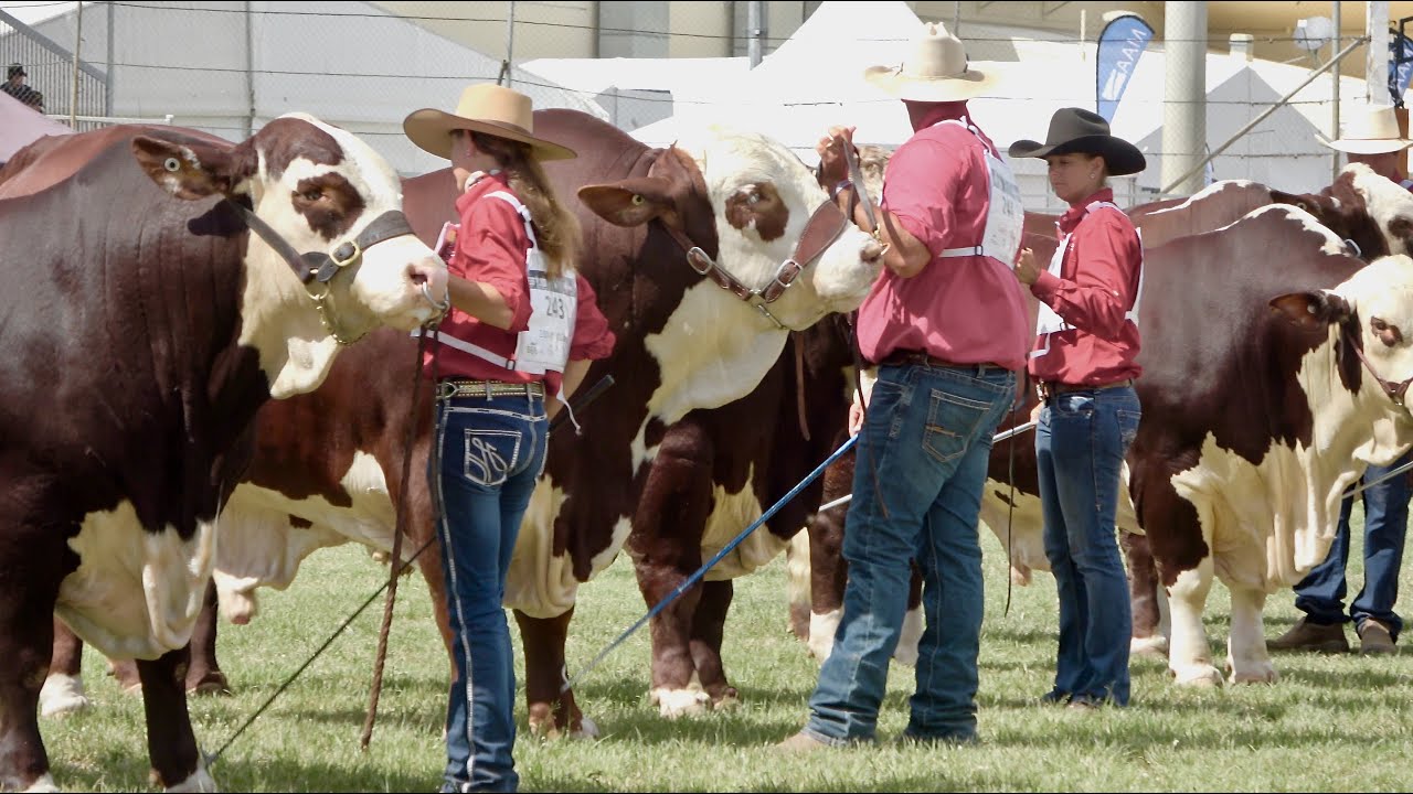 BEEF 21 - Beef week at Rockhampton, Australia, 2021 - YouTube
