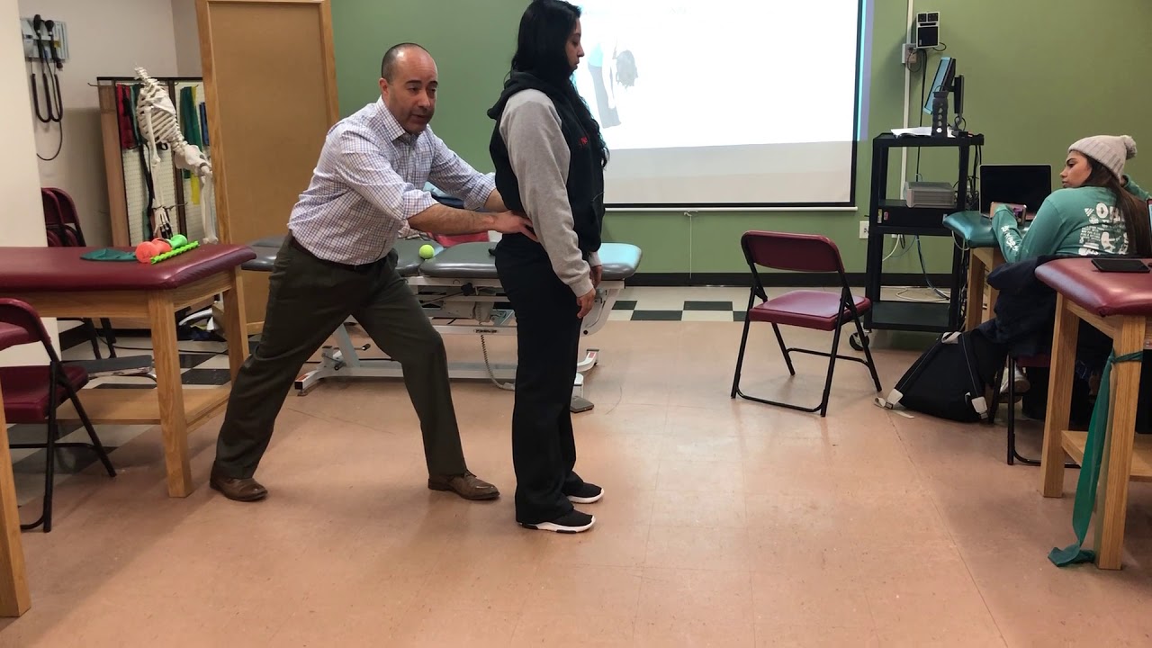 Lumbar Functional Screen - YouTube