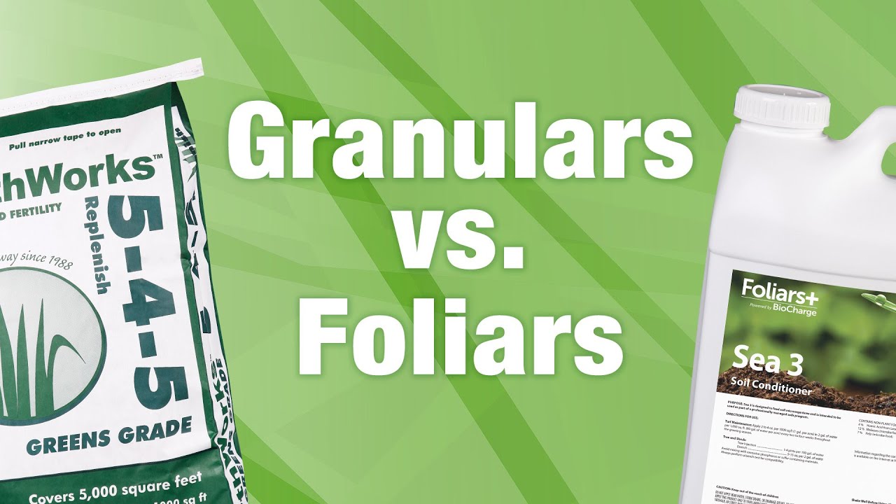 2 Minute Turf Talk - Granulars vs. Foliars - YouTube