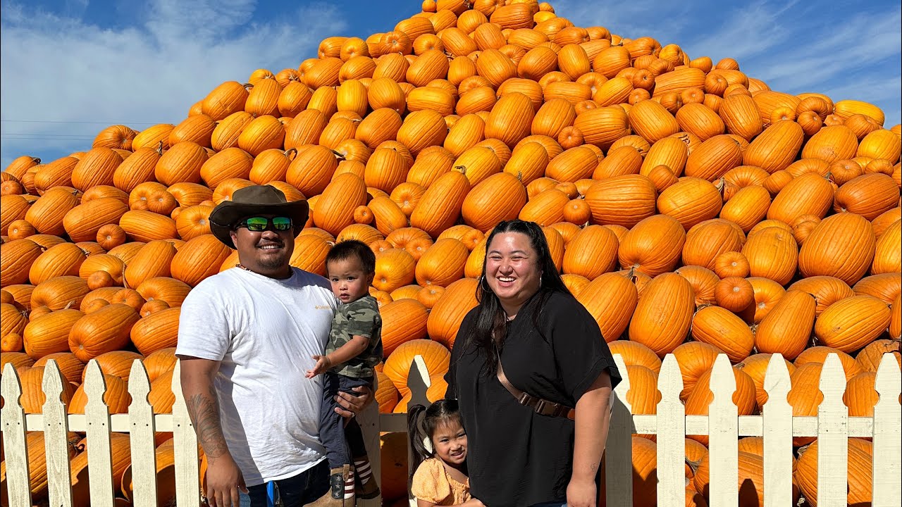 DINOSAURS AND PUMPKINS/ SPINAS FARM PUMPKIN PATCH (VLOG) - YouTube