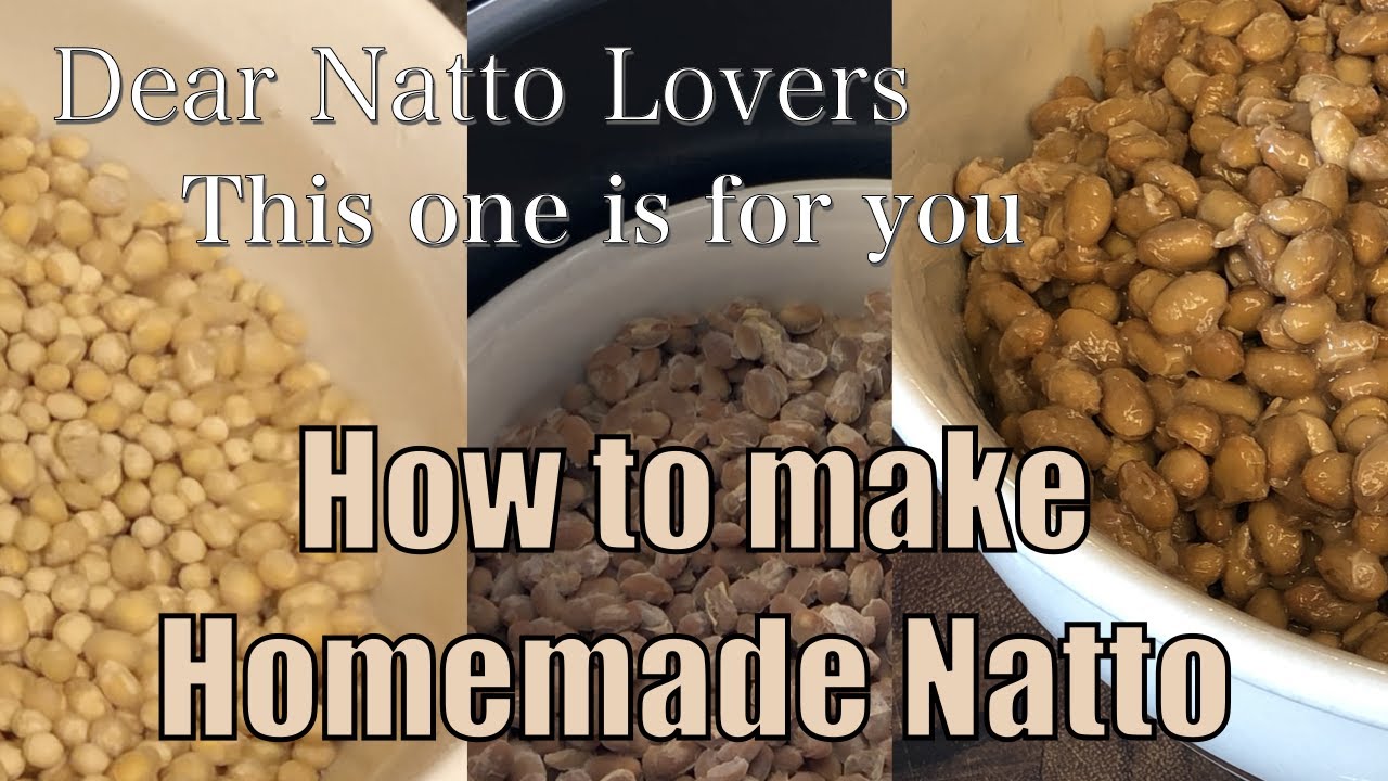 How to make Homemade Natto 納豆 | Japanese Healthiest food - YouTube