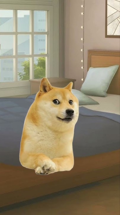 nuevo video de chemms// gracias por su apoyo - YouTube