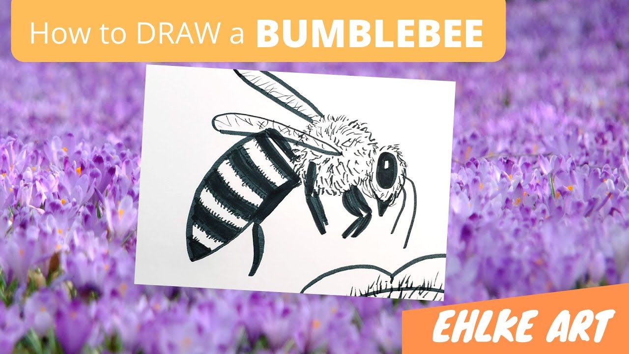 How to DRAW a BUMBLEBEE - YouTube