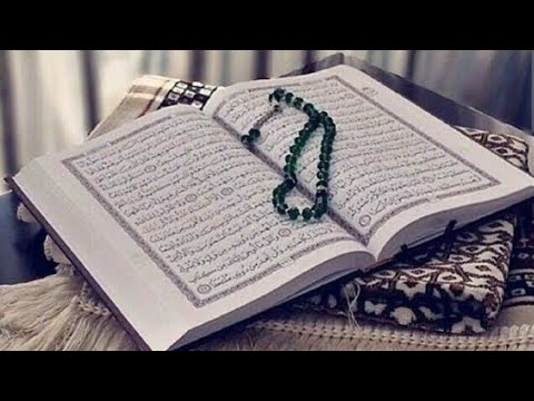 AMIN OLOHUN 🤲🏻 🤲🏻 🤲🏻 🤲🏻 🤲🏻 #تيكتوك #love #ﷺ #kucinglucu #السعودية # ...