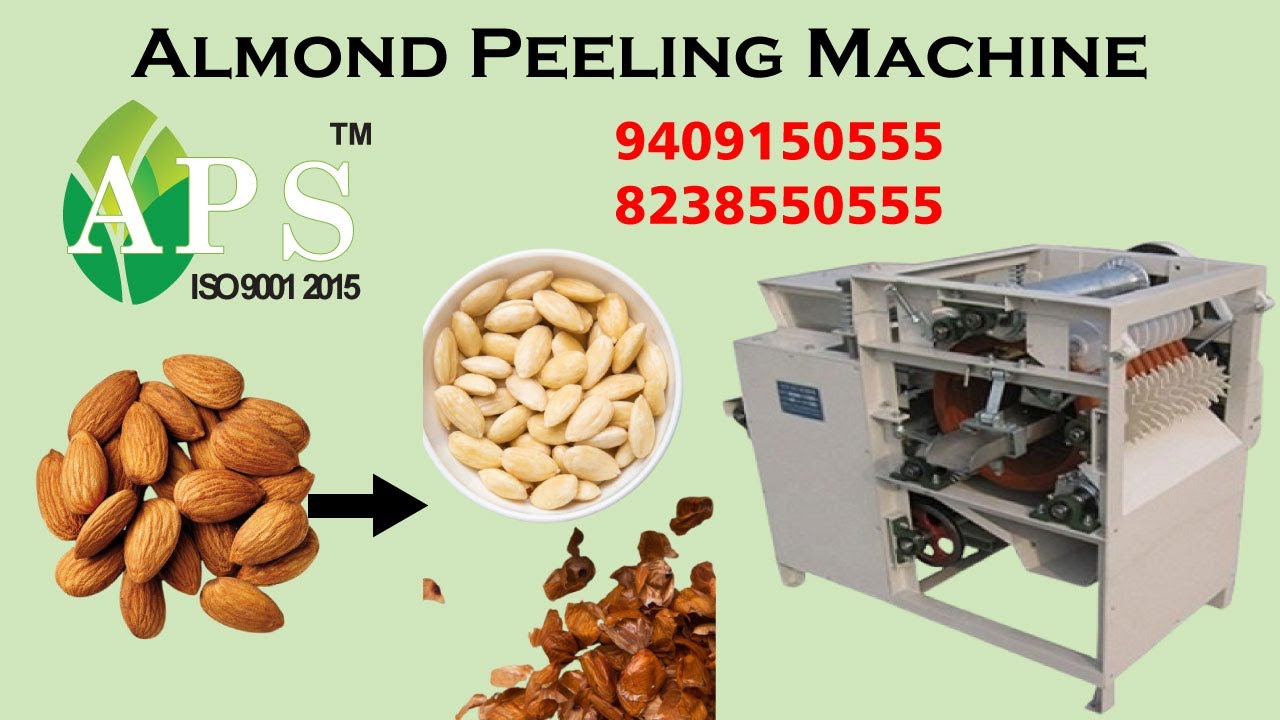 Almond Peeling Machine Wet Type 9409150555 - YouTube