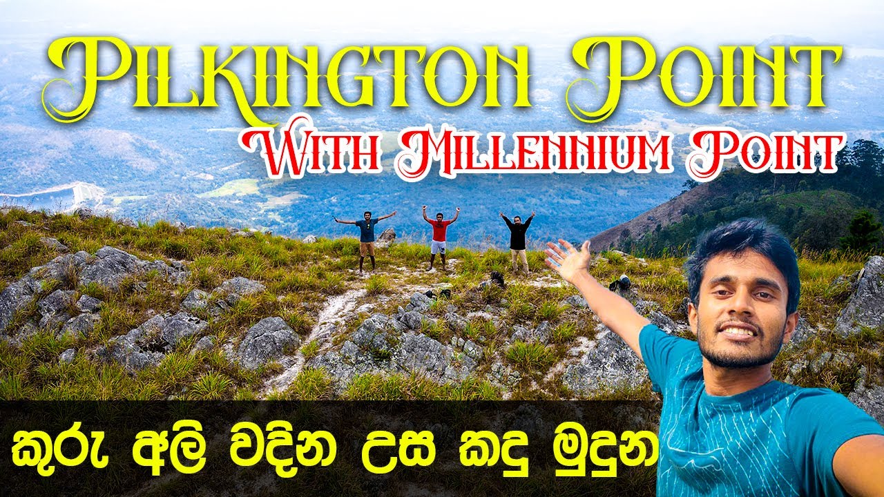 Pilkington & Milenium Point Poonagala SRI LANKA | Wild Elephant in Sri ...