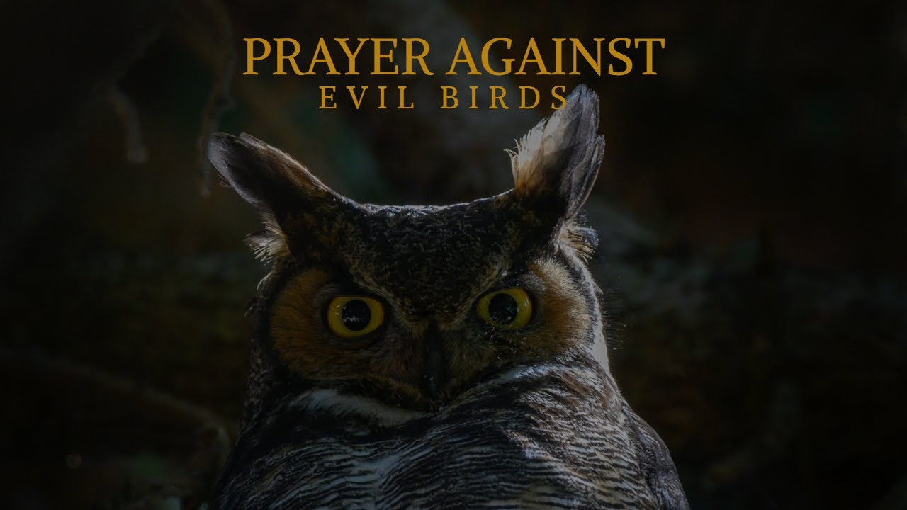 Prayer Against Evil Birds - YouTube