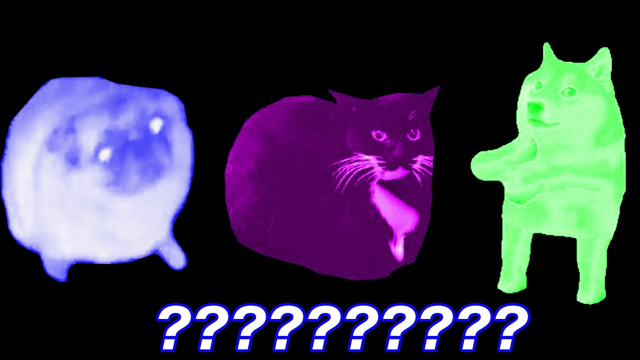 Maxwell The Cat and Pug and Doge Dancing Sound Variations In 49 Seconds ...