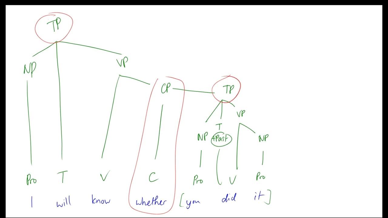 SFU LING 220 [10M] - Complementizer Phrases, Complements and Adjuncts ...