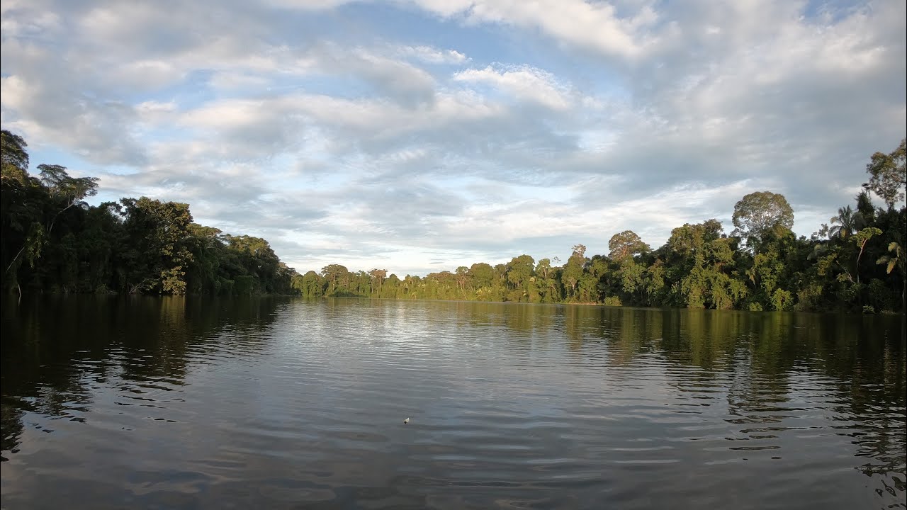 Rio Purus | lago do silêncio - YouTube