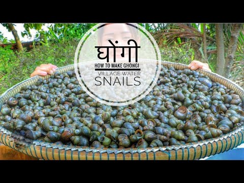 how to make ghongi | snails | ghonghi | village water snails | nepali ...