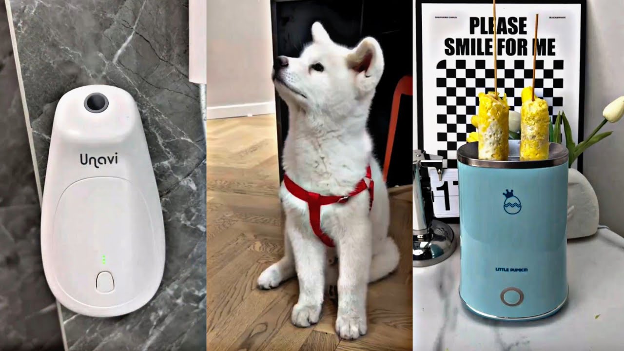 Lifestyle 101😍Chinese Cleaning Tiktok | Home Cleaning Inventions ...