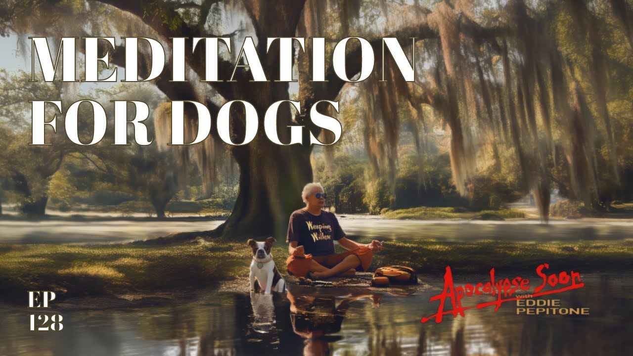 Meditation for Dogs (Apocalypse Soon with Eddie Pepitone Ep 128) - YouTube