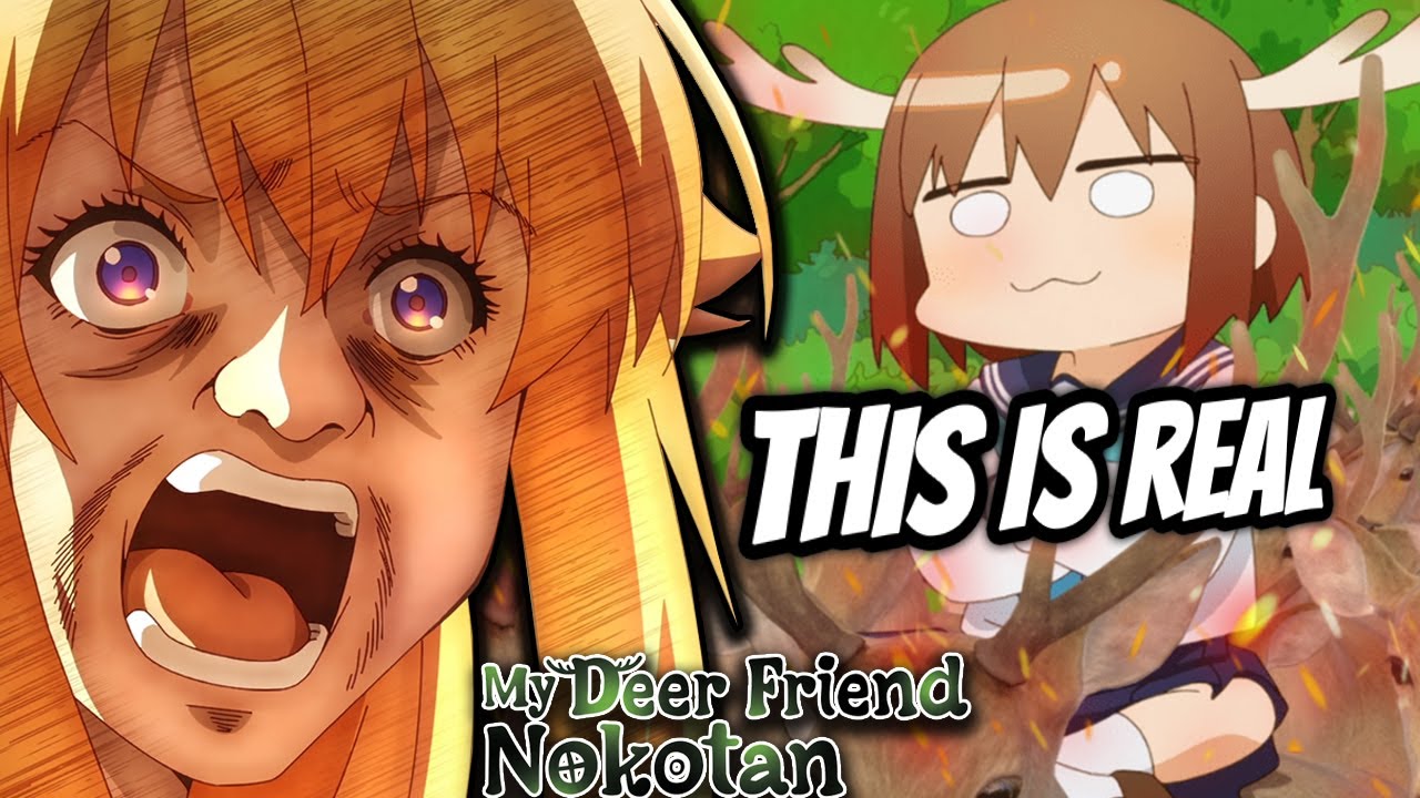 You’re Not Ready for the Brainrot That Is My Deer Friend Nokotan ...