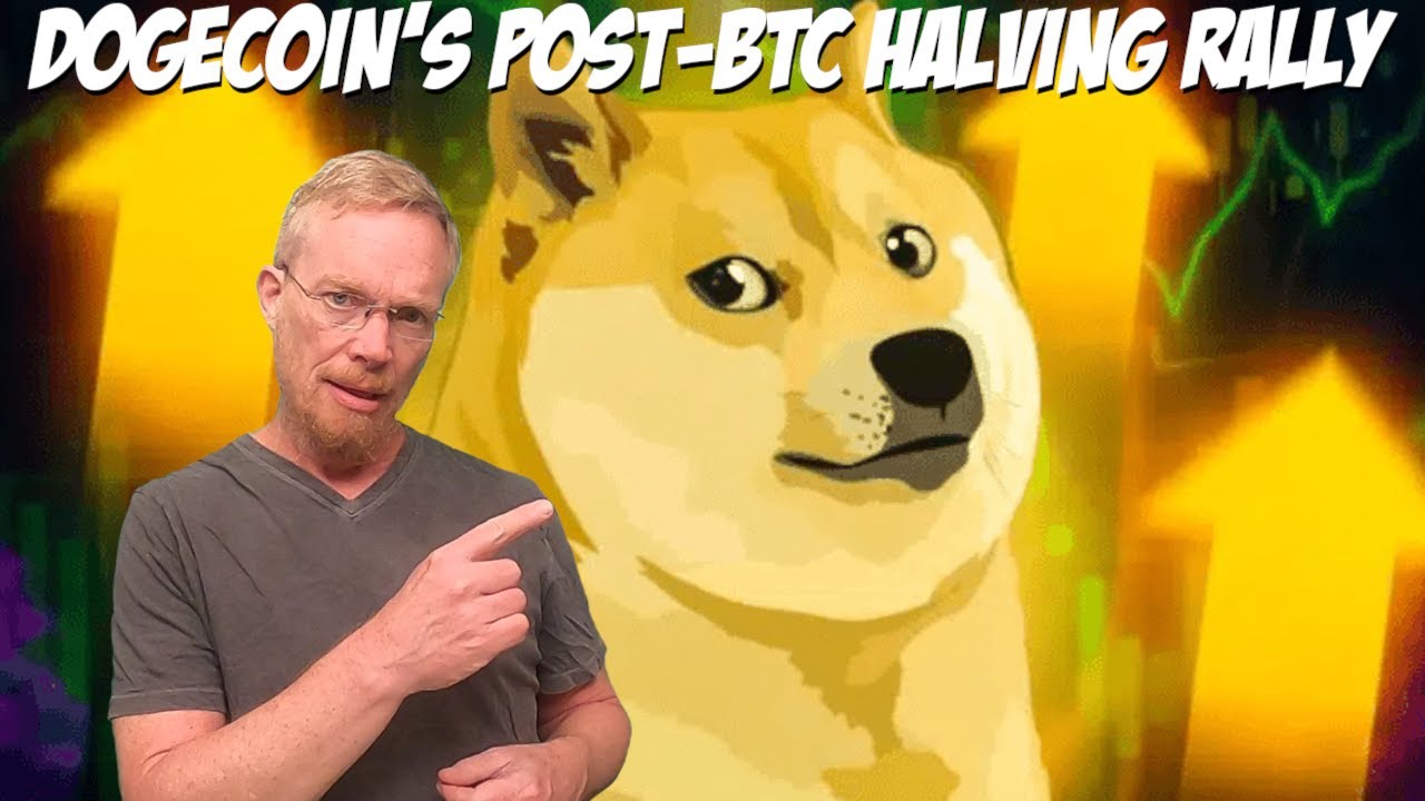 Dogecoin's Post-Bitcoin Halving Rally - YouTube