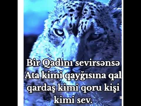 Tik Tok Azerbaycan 7/24 canli yayin
