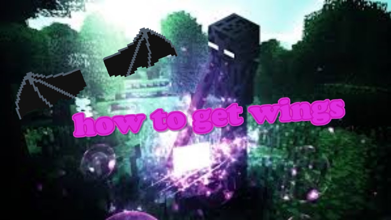 how to get wings for free in minecraft 2019 (1.8.9 MOD) - YouTube