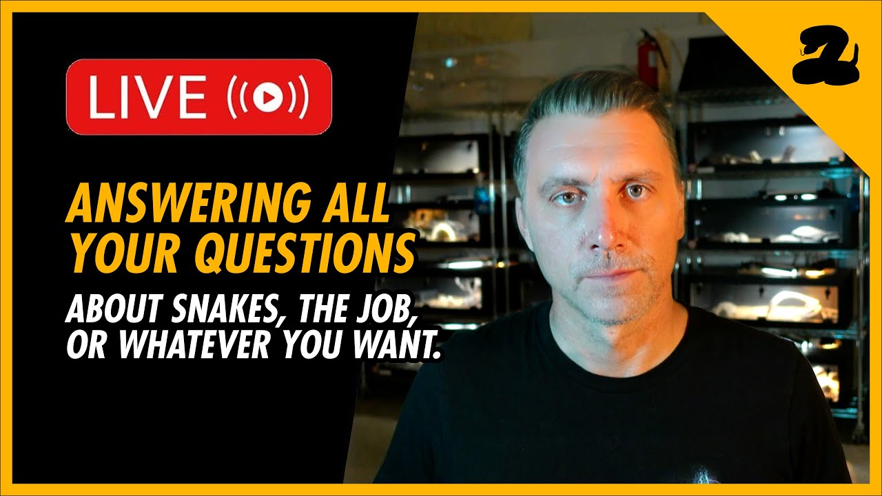 Live Q&A with Bryan - YouTube