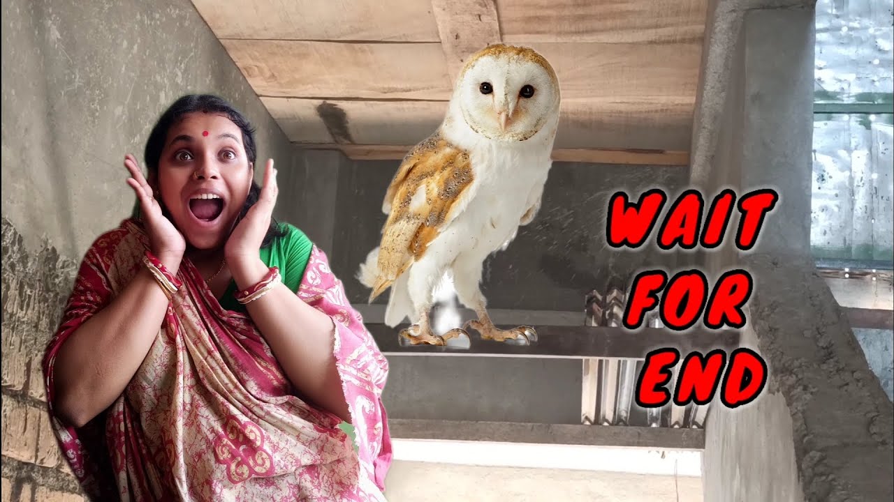 Ajj Barite Lokkhi Pecha Dhuke Gache ☺ - YouTube