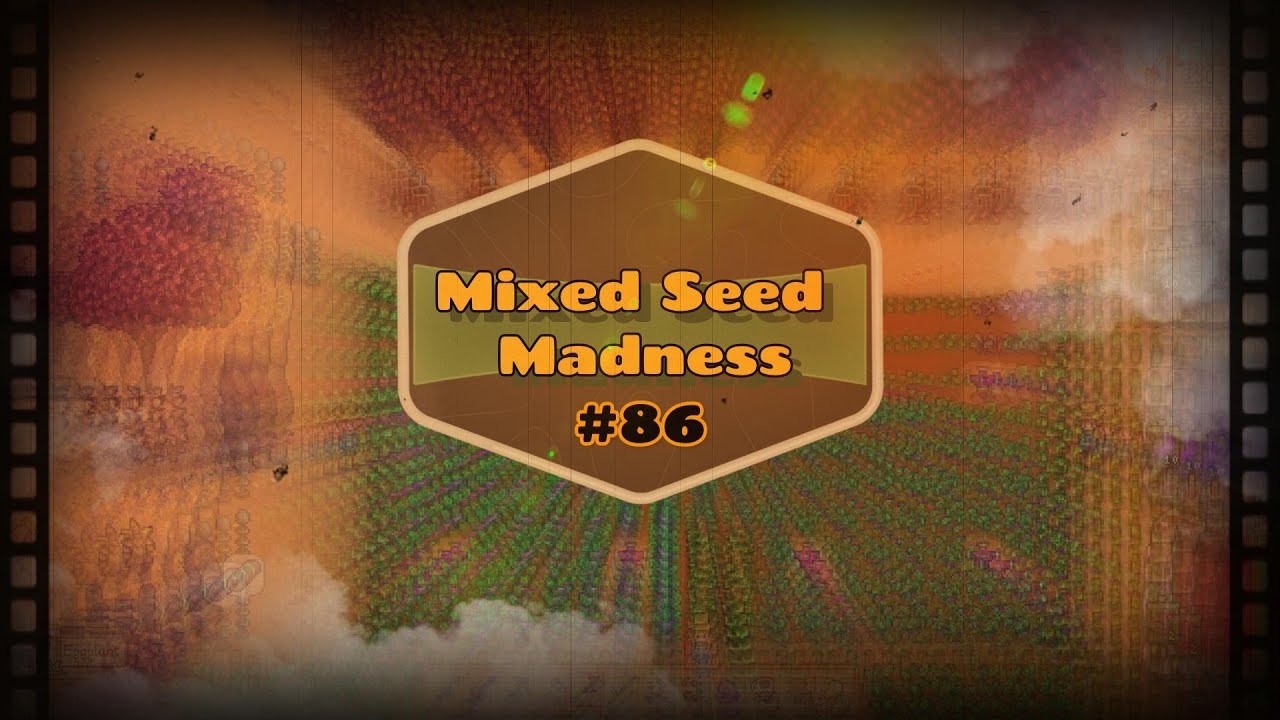 Mixed Seed Madness #86: Putting It All On Display! - YouTube