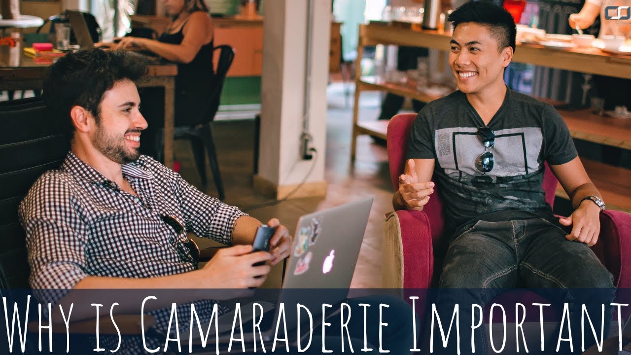 Why Is Camaraderie Important & The Fi + Te Axis | Cognitive ...