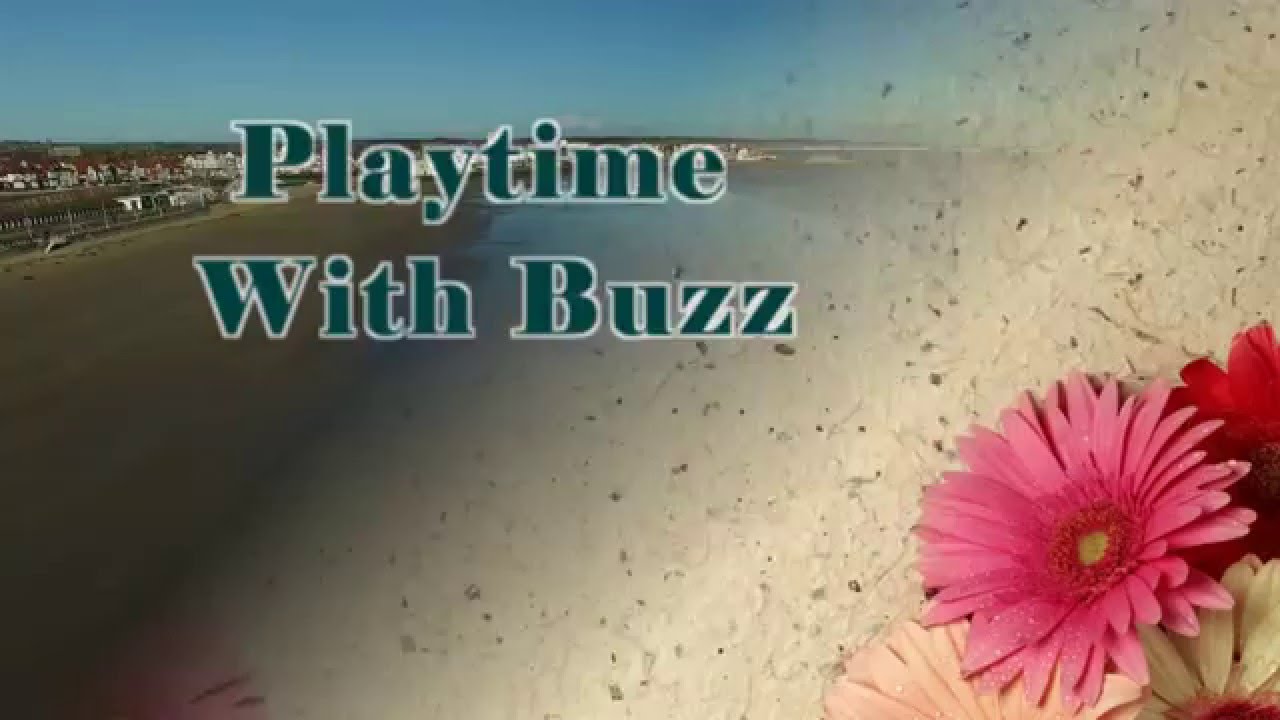 Practice time with Buzz - YouTube