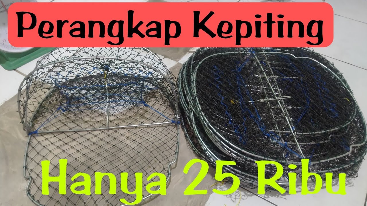 Review Perangkap Kepiting !!! Kualitas Mantap Harga Terjangkau - YouTube