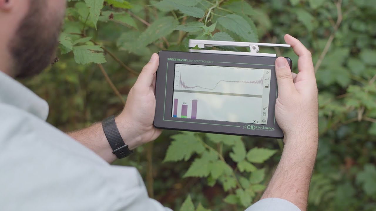 New Instrument For Plant Stress Measurement | CI-710s SpectraVue Leaf ...