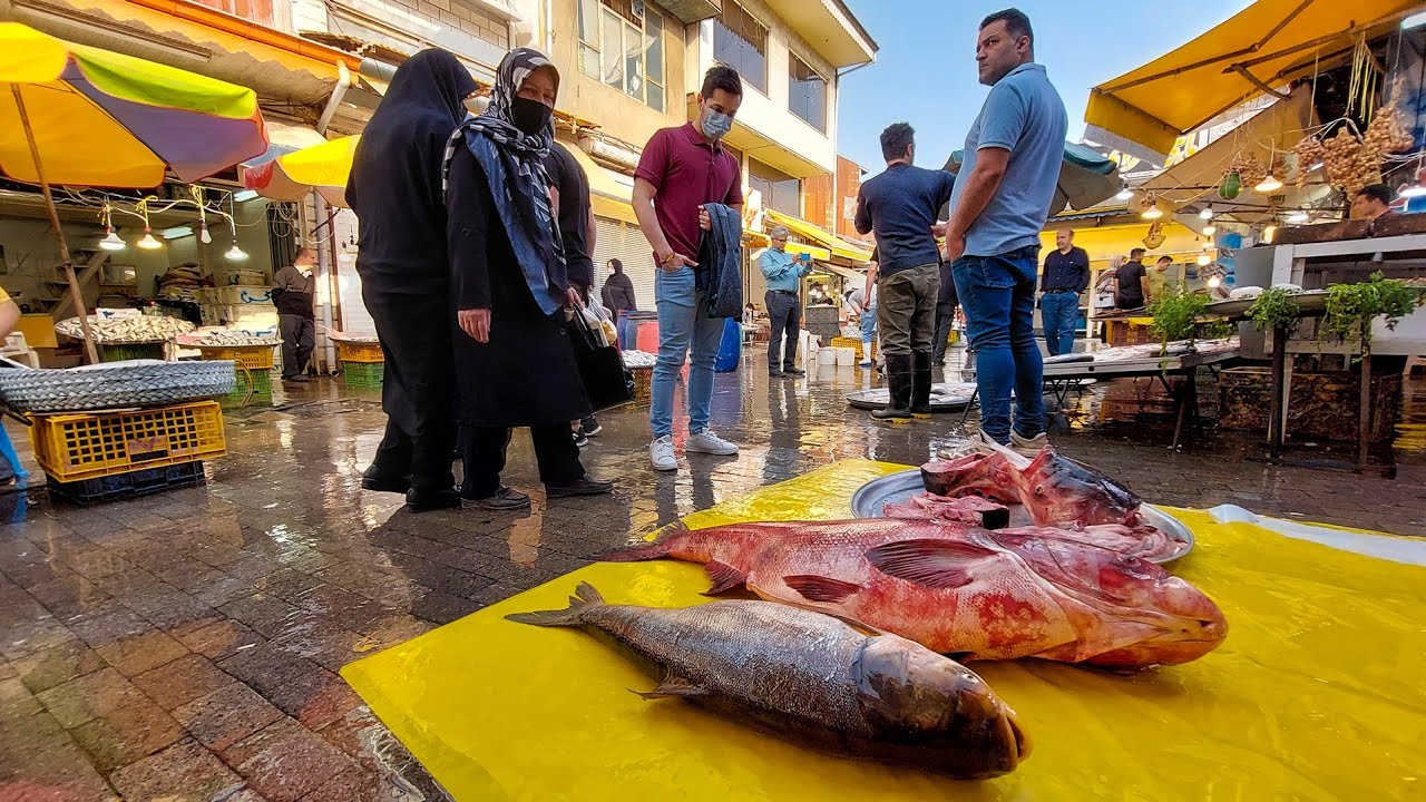Giant fish in Iran!! - YouTube