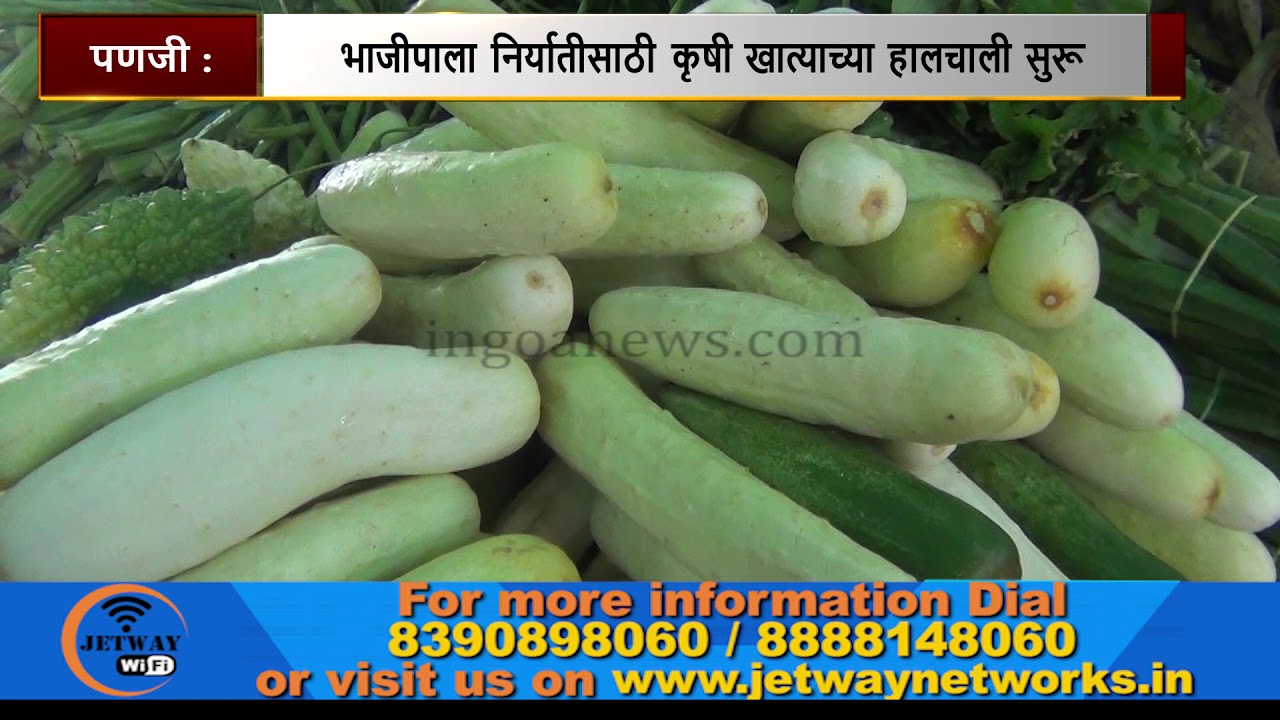 Goa Becomes Self-Sustained In Vegetable Farming,To Export Vegetables To ...