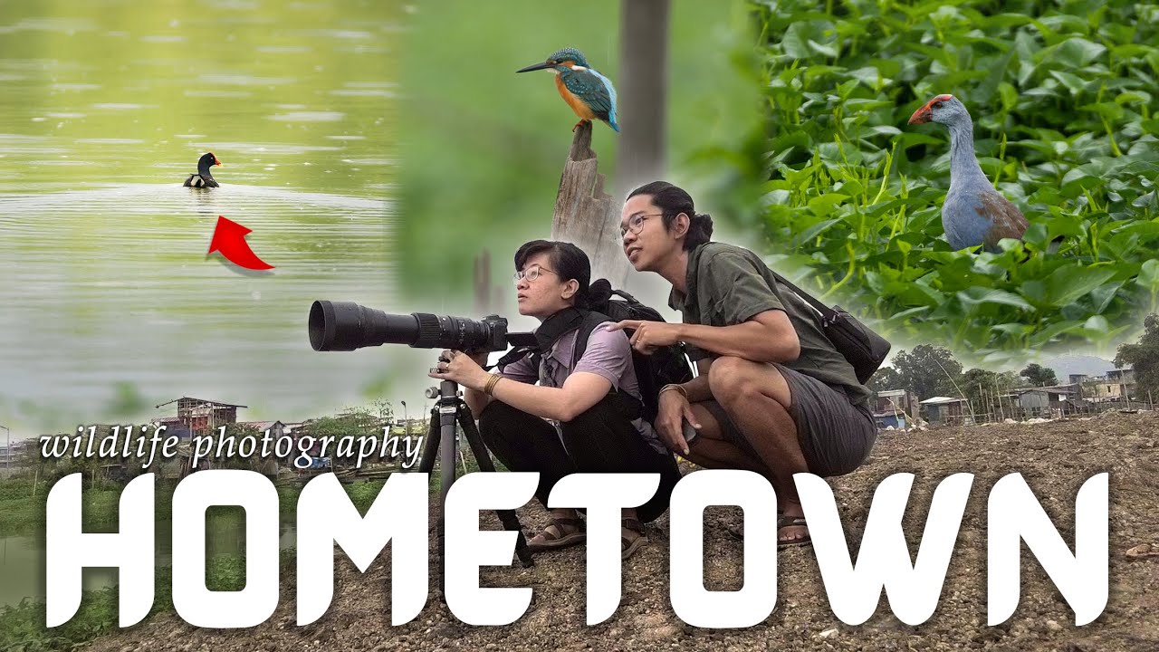 BIRDS OF ANGONO LAKESIDE ECO-PARK | Celine and Dennis Murillo - YouTube