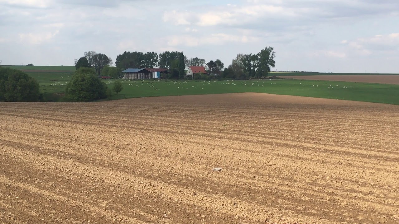 WW1 MOUQUET FARM (Moo Cow) - POZIERES - AIF - YouTube