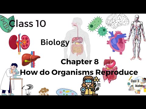 How do organisms reproduce notes class 10 CBSE | notes with pdf ...