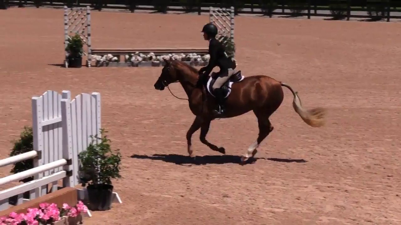 CAROLINE HANCOCK & GLAMOROUS TRYON INTERNATIONAL EQUESTRIAN CENTER 7/8 ...