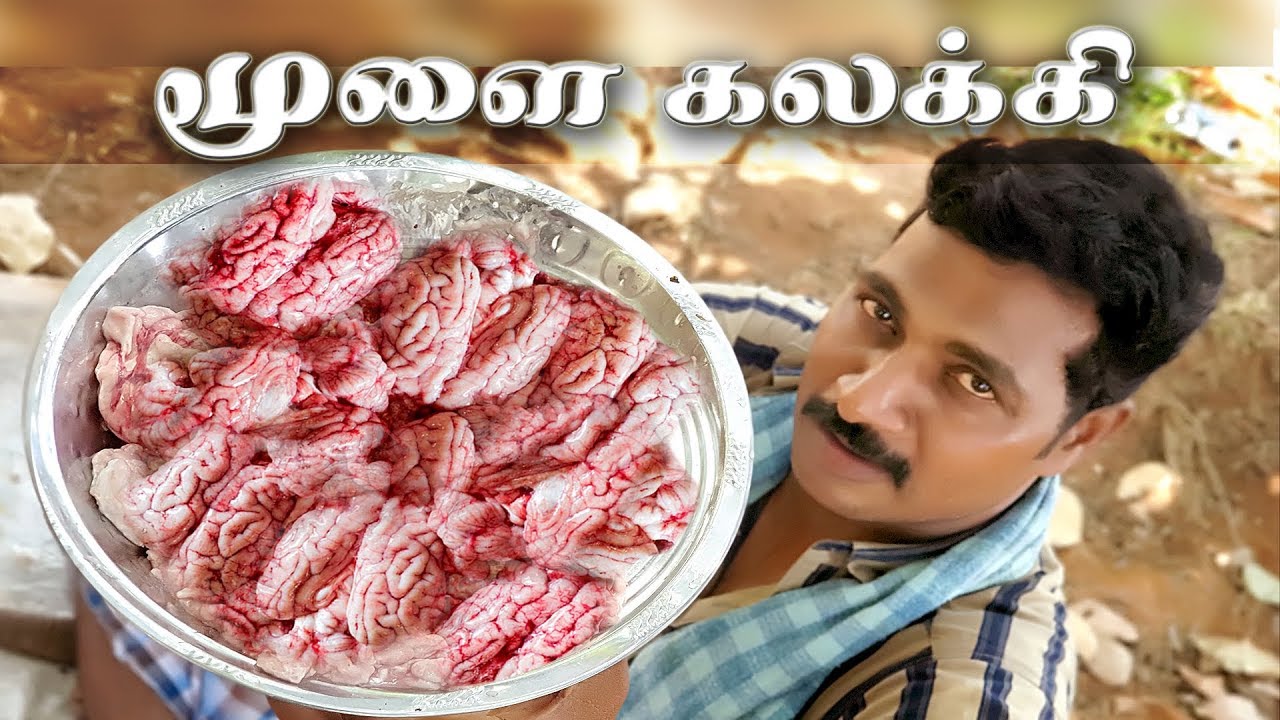 Goat Brain Kalaki | ஆட்டு மூளை கலக்கி | Lamb Brain Kalaki | Mams Masala ...
