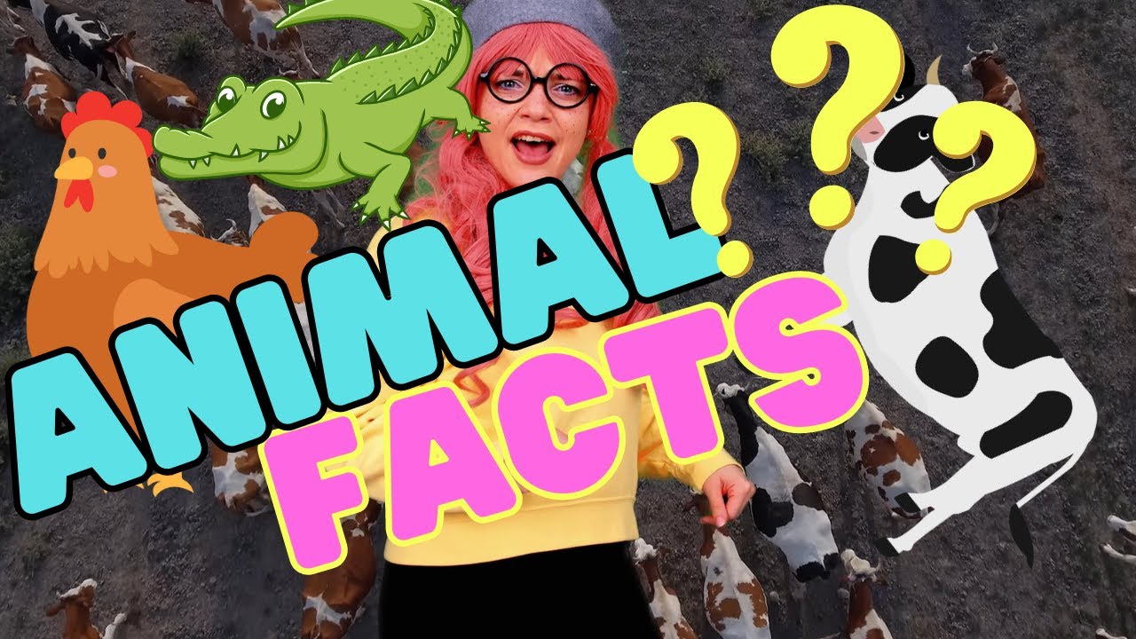 🐔🐊🐄Learn Fun & Amazing Animal Facts! Ayu and Gigi! 🌟 | For Kids ...