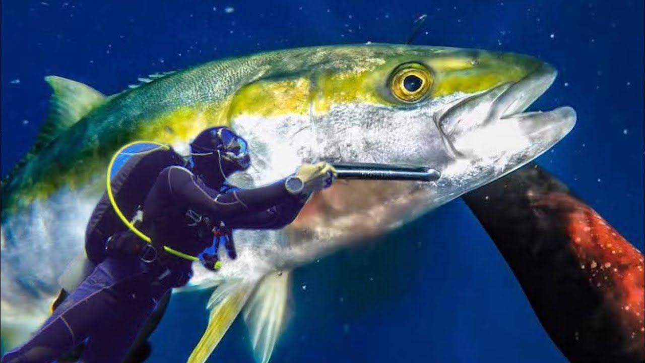 24th episode of Spearfishing #fishing #fish #spearfishing - YouTube