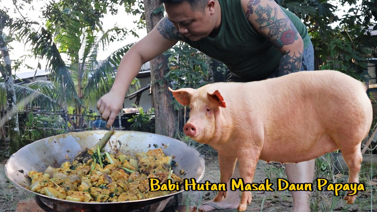 Daging Babi Hutan Masak Daun Papaya Kicap // Resepi Citarasa Orang ...