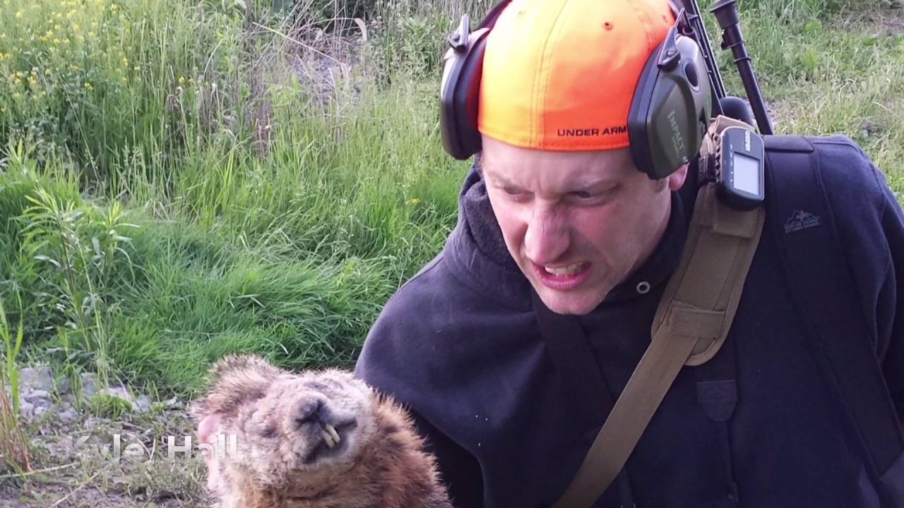 Ground hog Hunting Compilation - YouTube